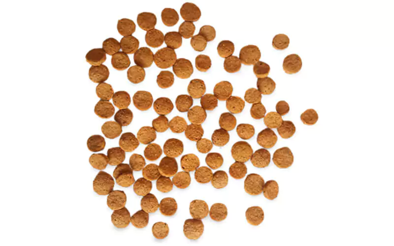 Pet Food Formulation Ingredients: Balanced Recipes And Nutrition